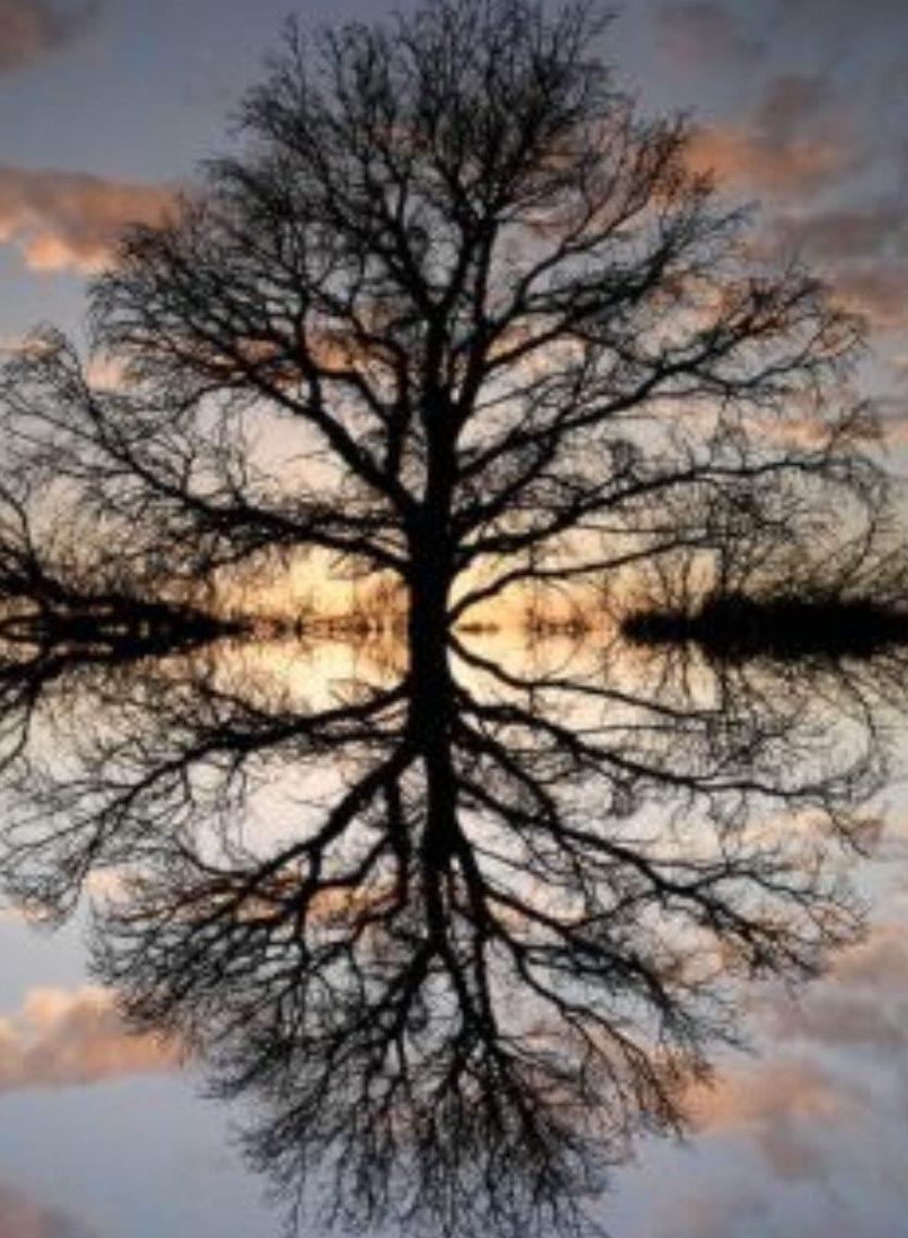 Learning How to Self-Reflect and Gain Self-Realization