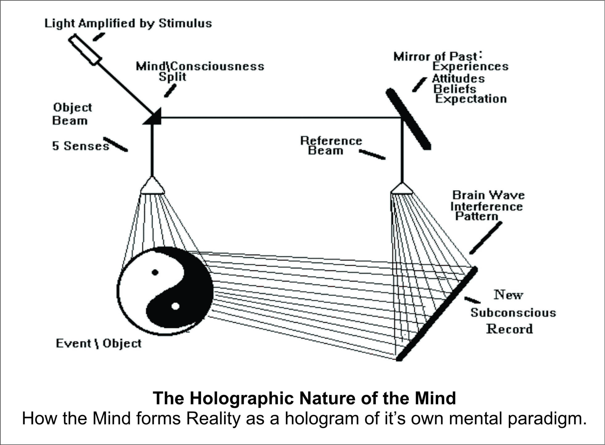The Dual Nature of Existence and the Universal Law of Polarity