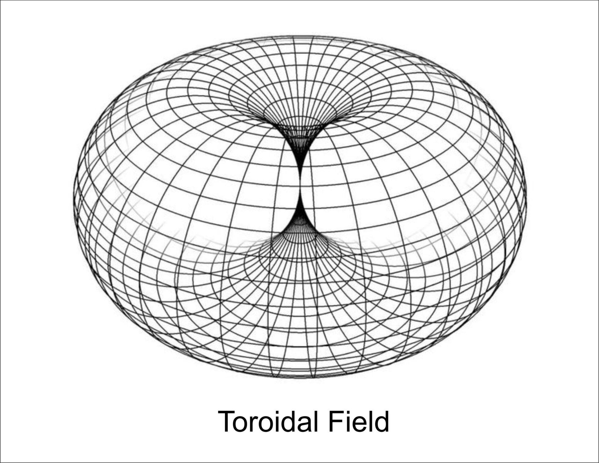 The Dual Nature of Existence and the Universal Law of Polarity