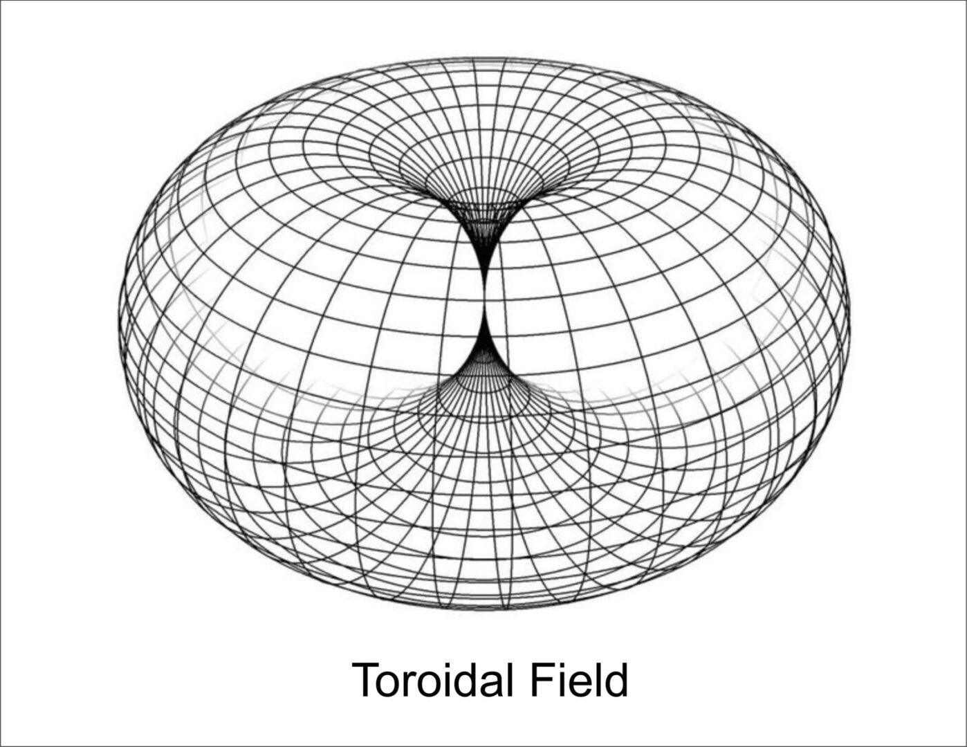 The Dual Nature of Existence and the Universal Law of Polarity